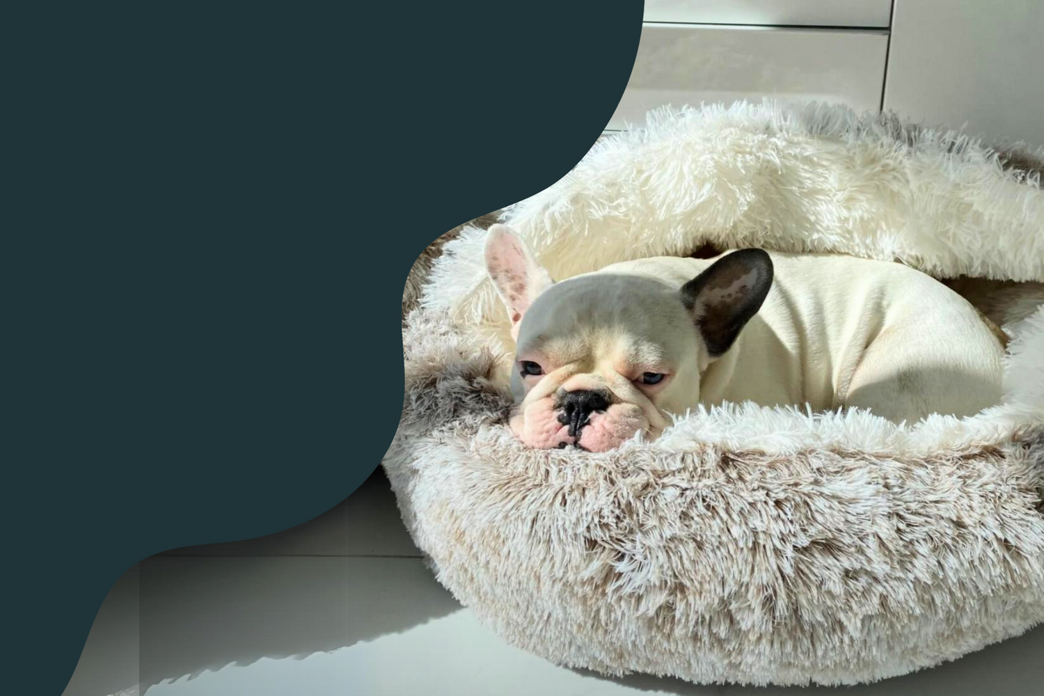 Olvys - Cozy beds, blankets & more