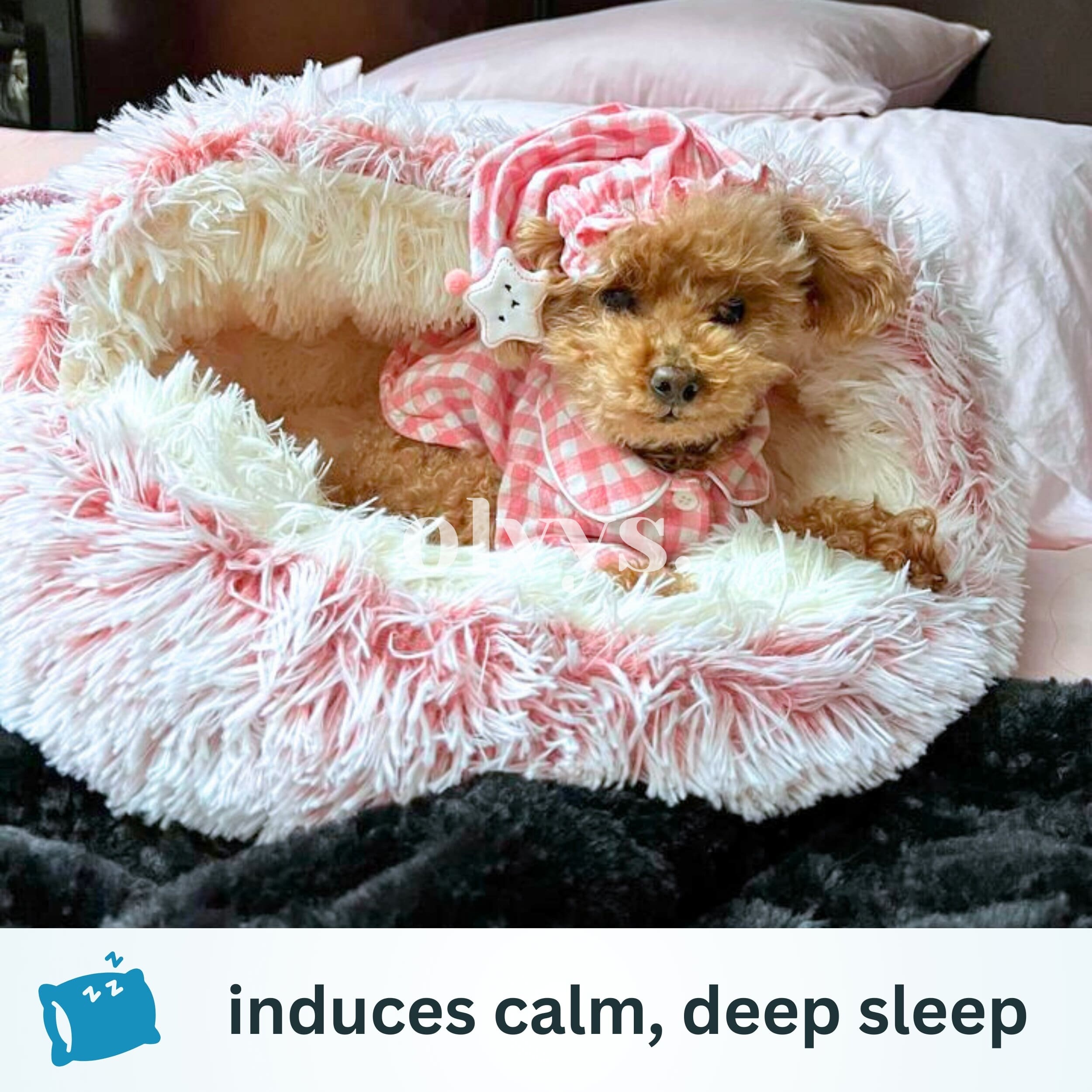 Olvys - Cozy beds, blankets & more