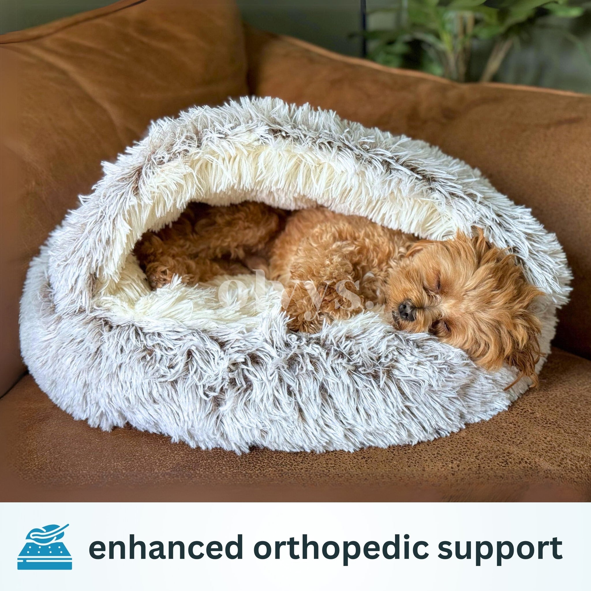 Olvys - Cozy beds, blankets & more